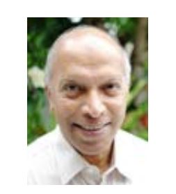 Asian Confluence: Challenging Perceptions of European Hegemony